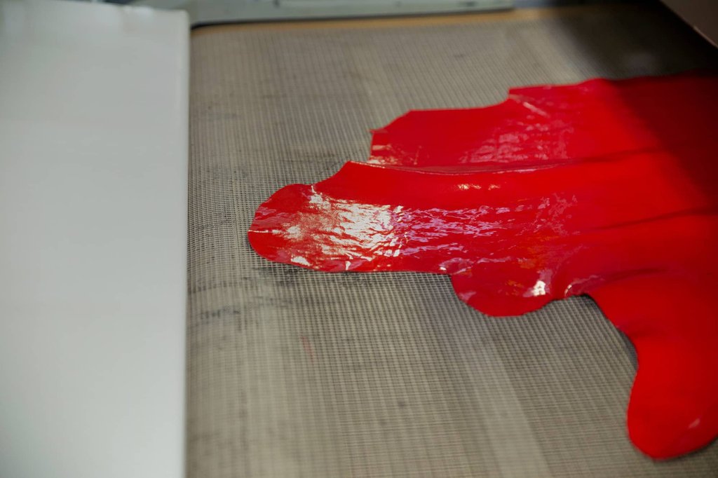 High-performance impregnation resins for leather | Stahl | Stahl