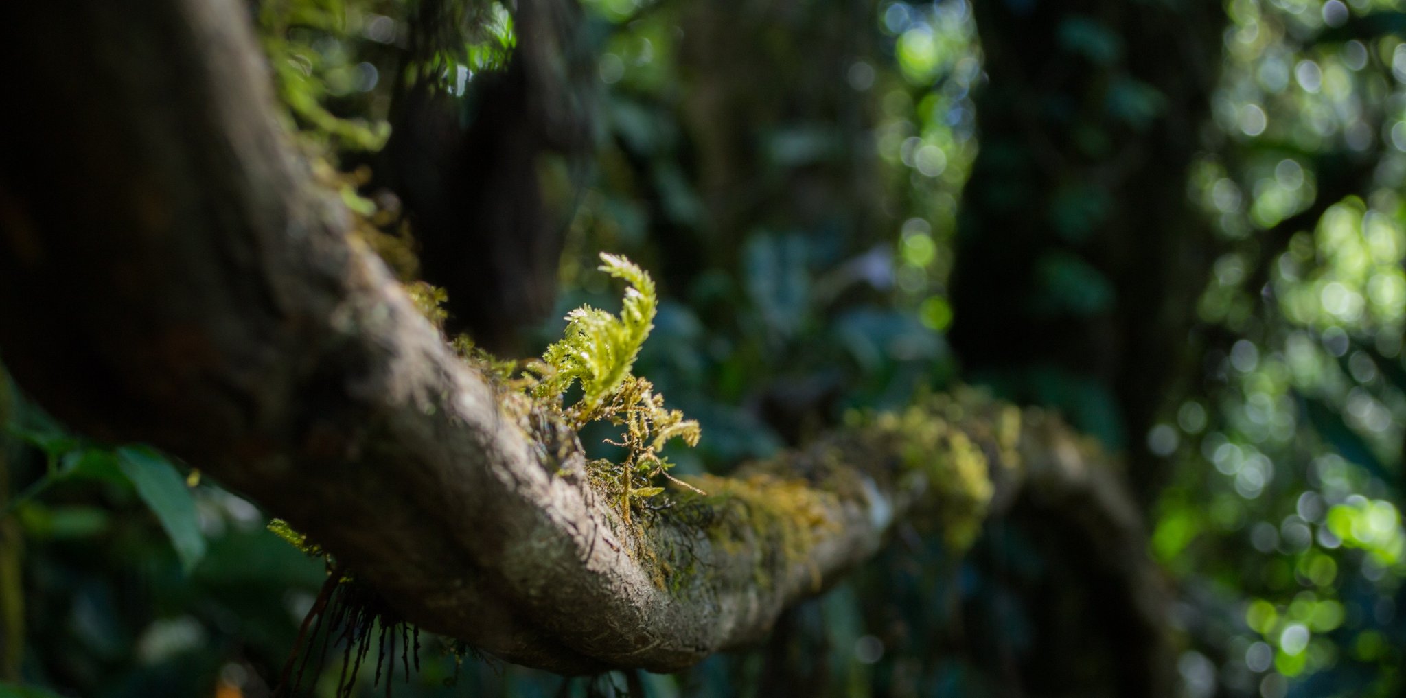 Stahl secures ISCC PLUS re-certification for facilities in Germany and ...