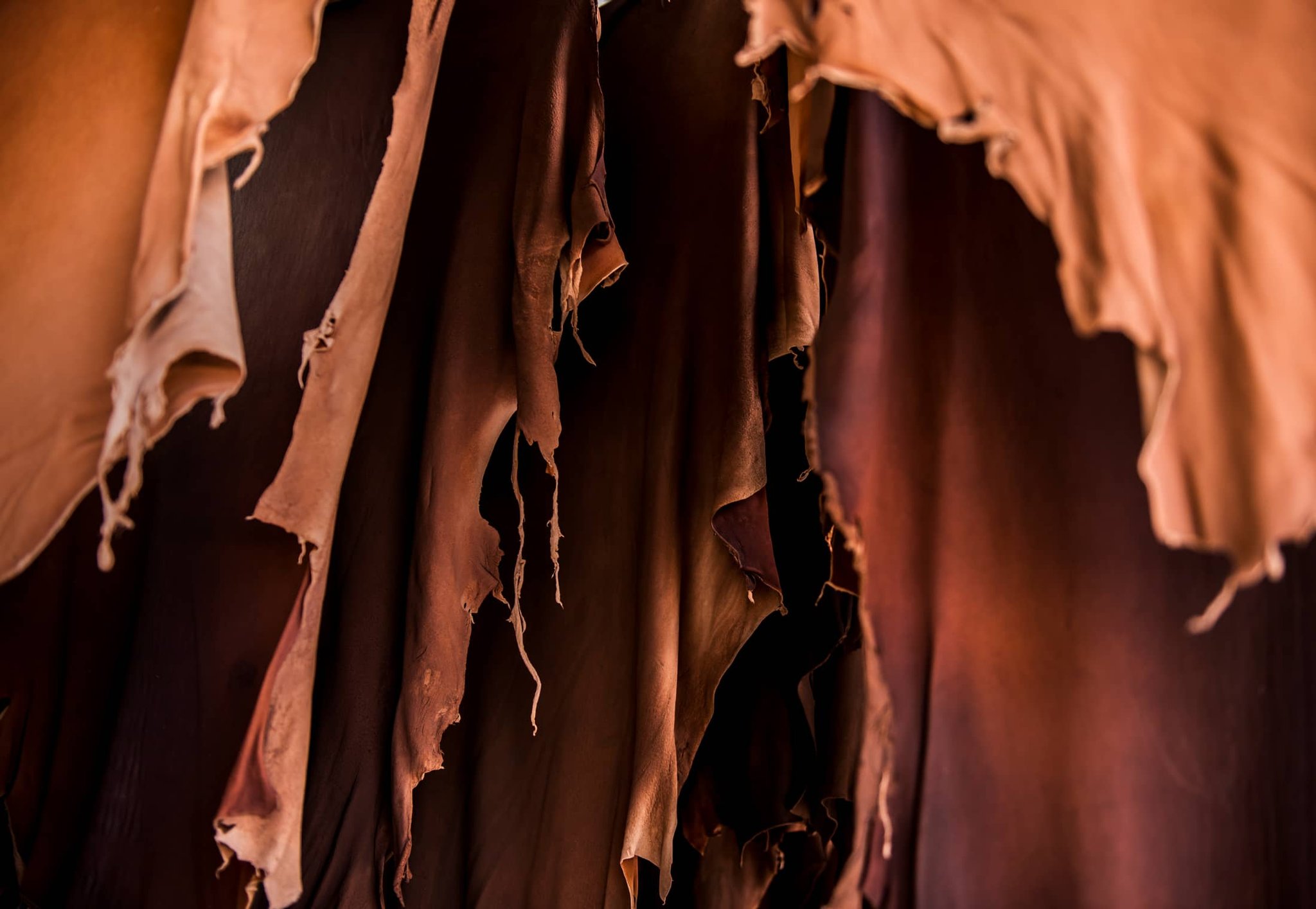 Our complete and versatile fatliquors portfolio | Stahl | Stahl